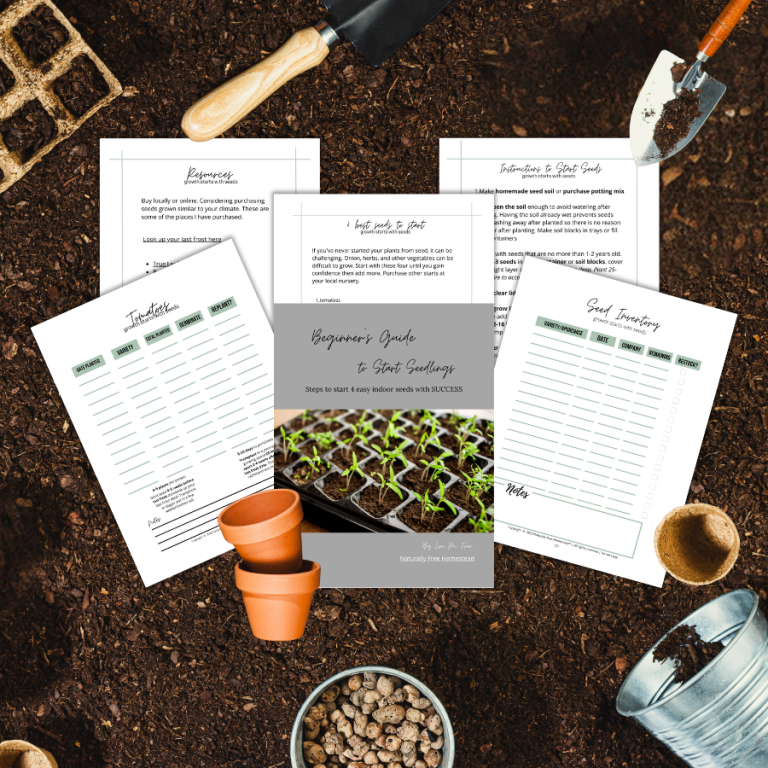 Beginner’s Guide to Start Seedlings – Homestead Store