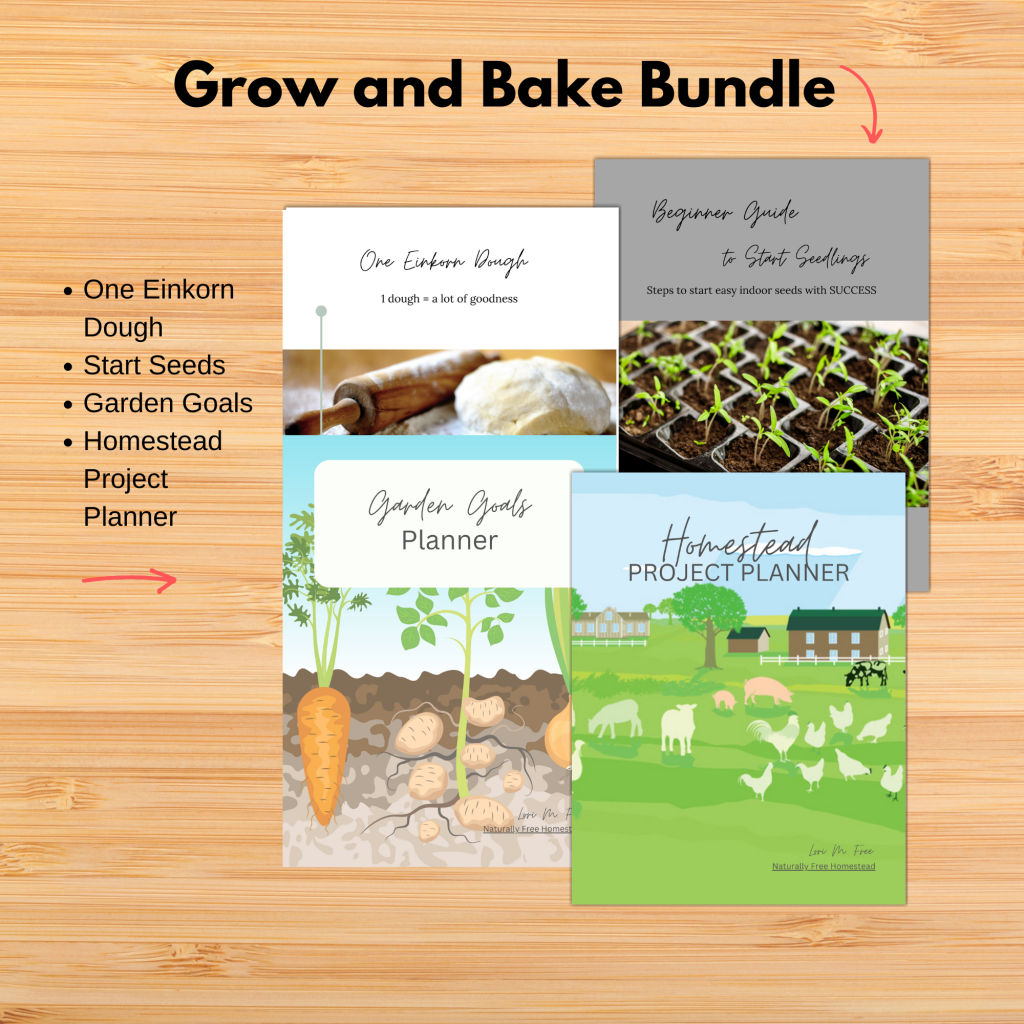 One Einkorn Dough – Homestead Store